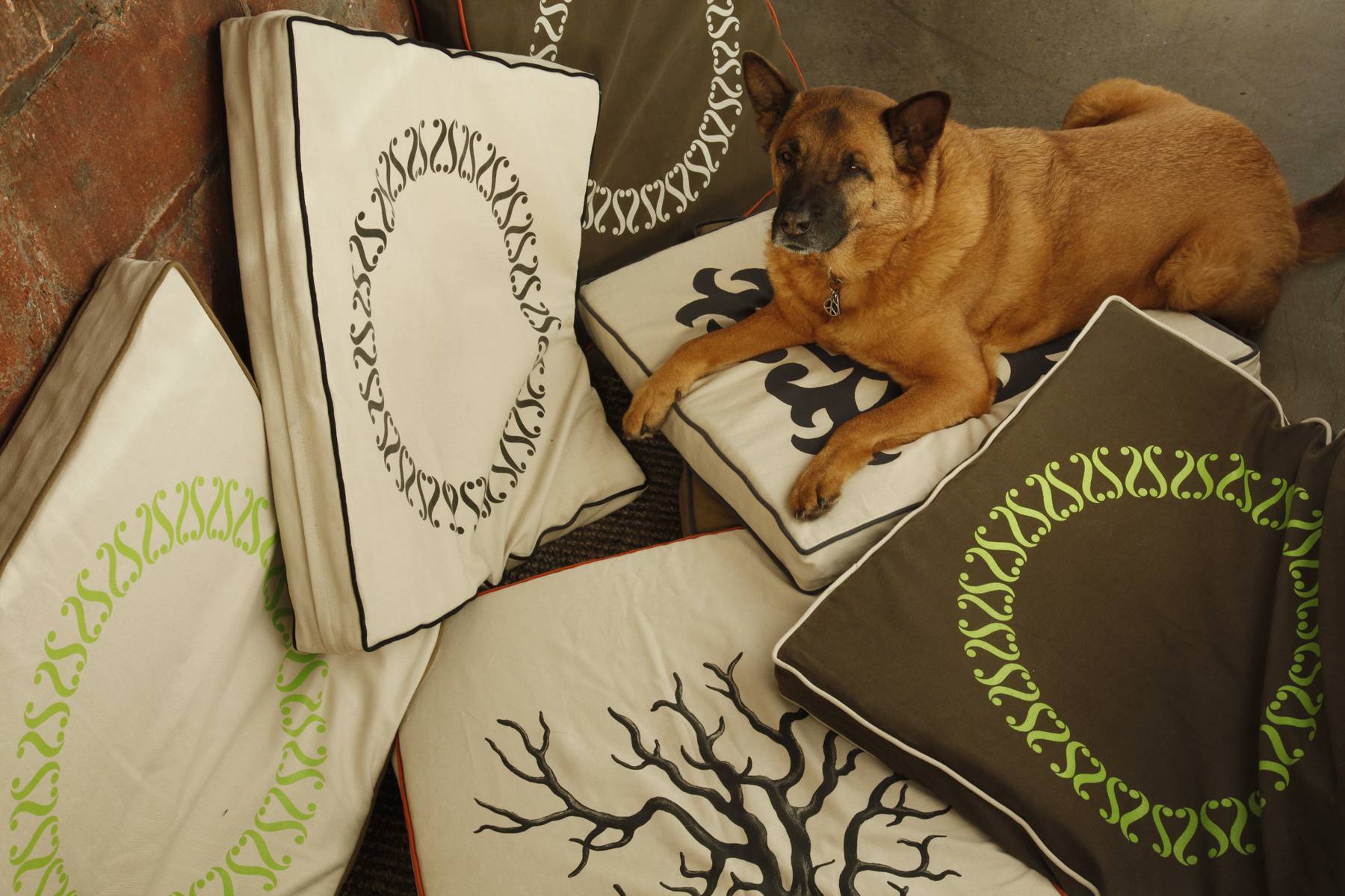 Island Dog Design Beds Are the Perfect Holiday Pet Idea | That Girl At ...